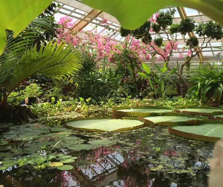 Wandelclub - Marente